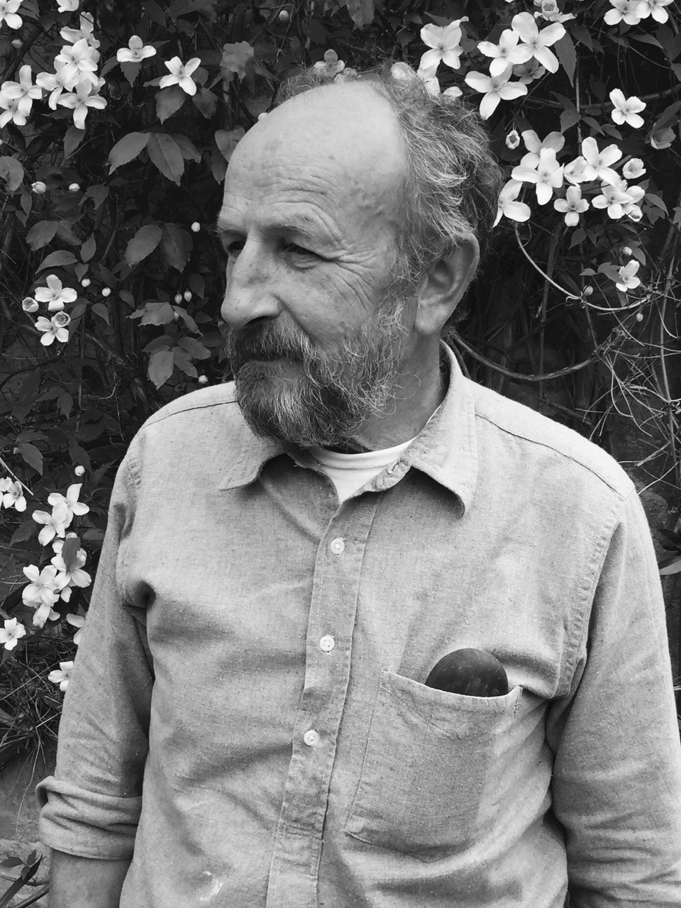 richard strachey - on form