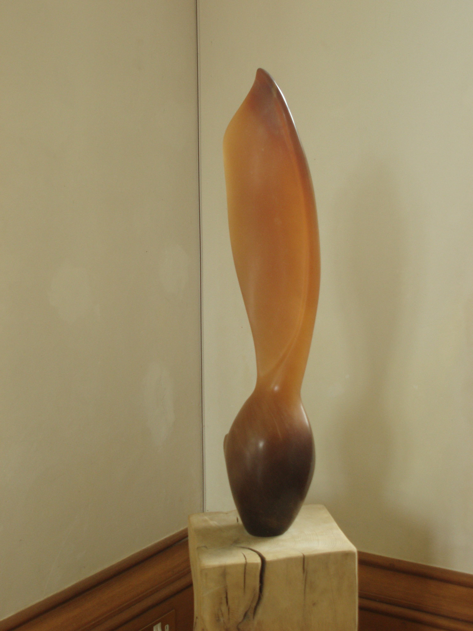 jude tucker - on form