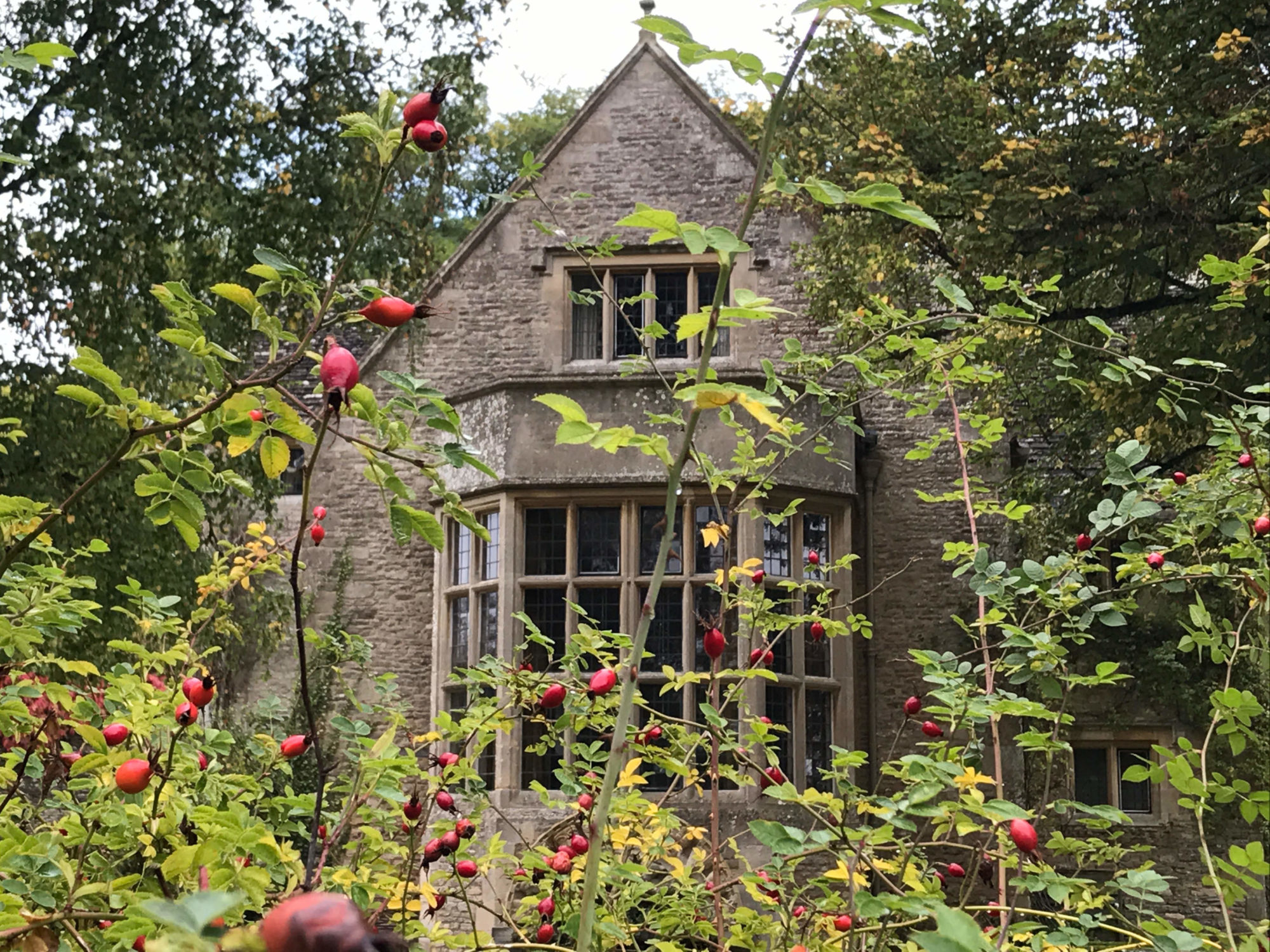 Bookings - Asthall Manor