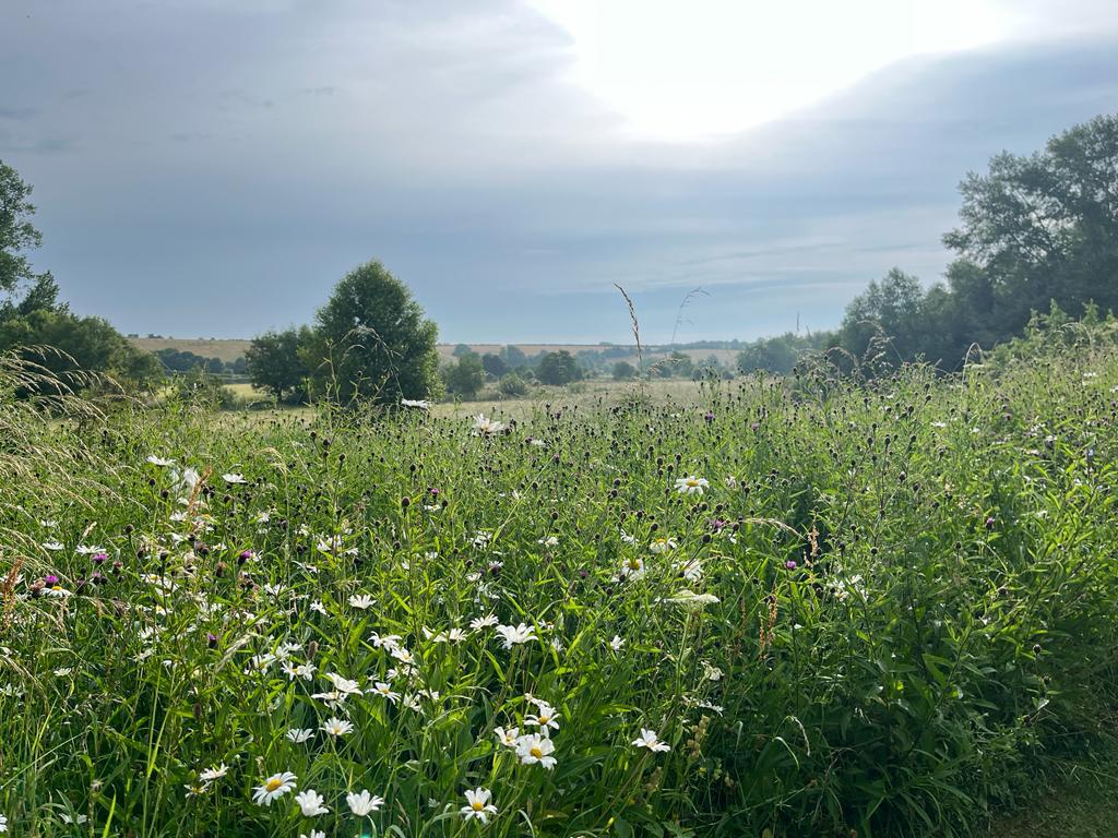 Summer Open Month - Asthall Manor