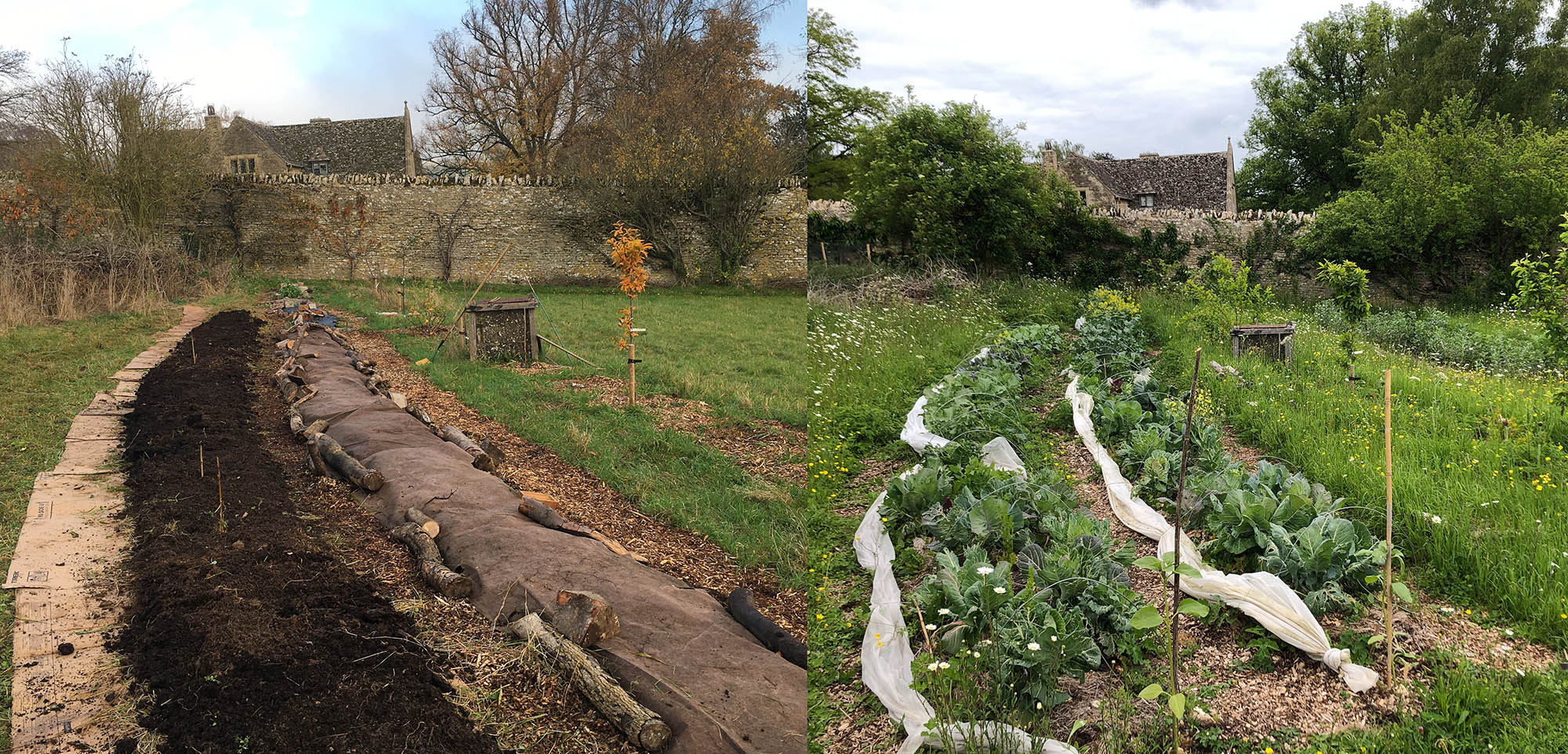 Kitchen Garden Workshop: Know Your Soil - Understanding Soil and Soil ...