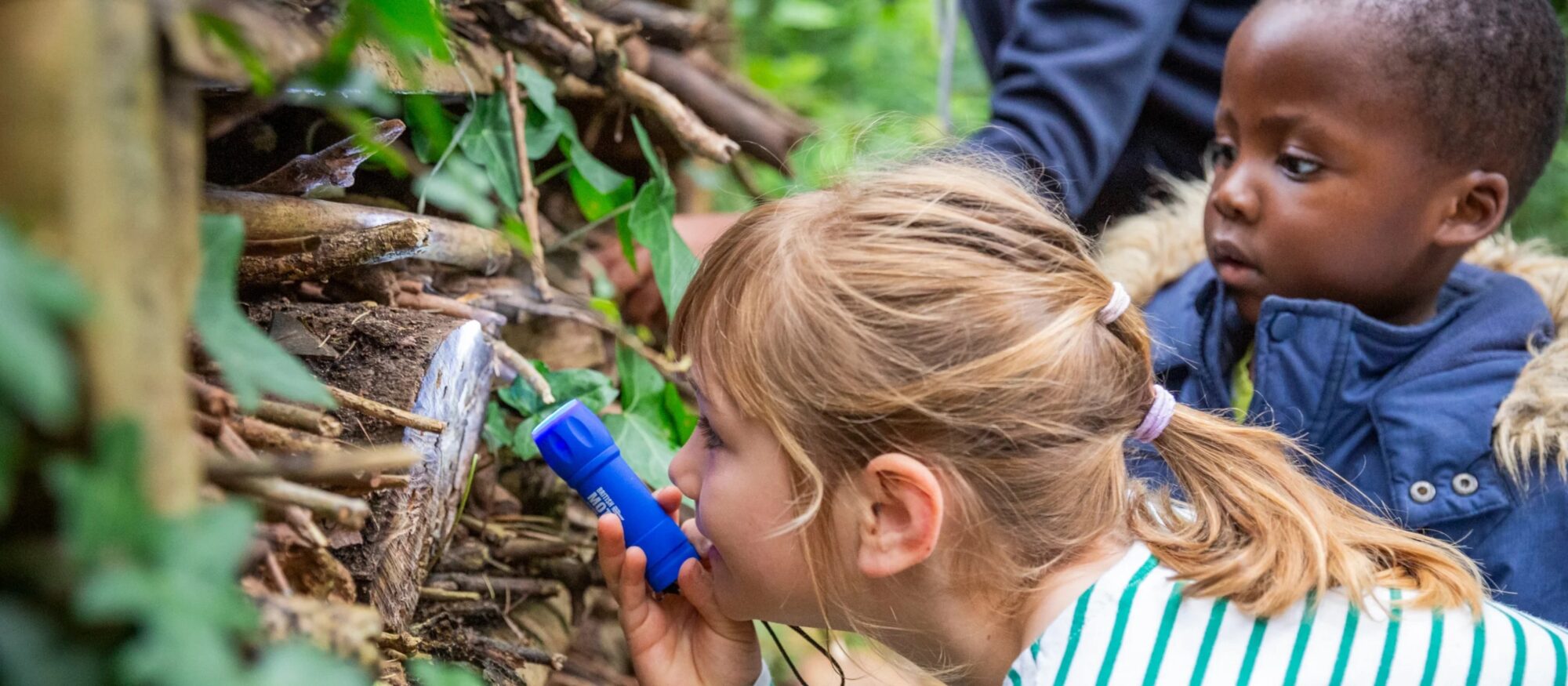 Mini bug safari - Asthall Manor